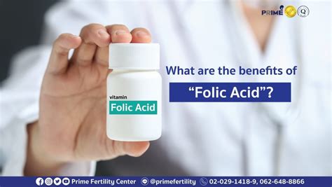 What Are The Benefits Of Folic Acid Prime Fertility Center