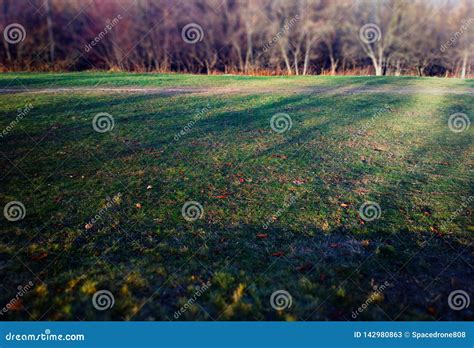 Autumn Park Horizon Wuth Naked Trees And Green Grass Landscape