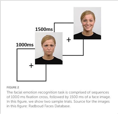 figure 2 from a comparison of uni and multi variate methods for identifying brain networks