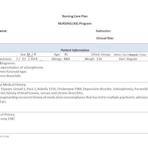 Nursing Care Plan Schizophrenia Printable PDF Immediate Etsy