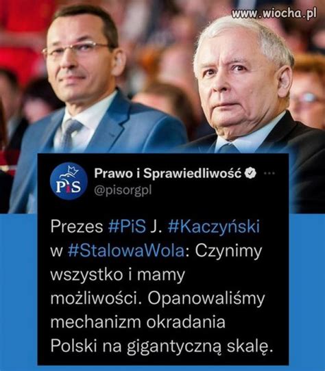 Nareszcie PiS Powiedzial Prawde Po 8 Latach Rzadow Wiocha Pl Absurd