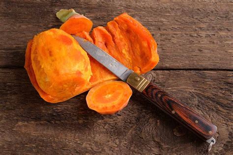 How To Harvest Prickly Pear Opuntia Fruit Gardeners Path