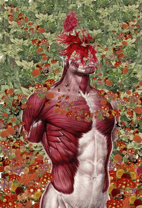 Anatomical Collages By Travis Bedel Colossal