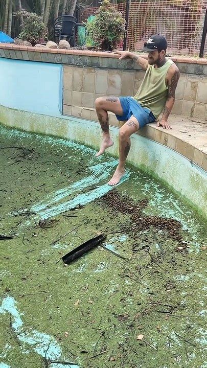 Slippery Pool Proves Too Slick For Worker Video Dailymotion
