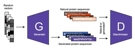 proteingan a generative adversarial network that generates functional protein sequences