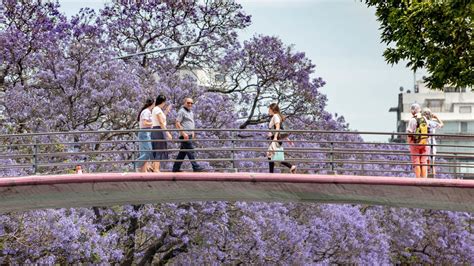 Qué ver y hacer en Buenos Aires en primavera Hellotickets