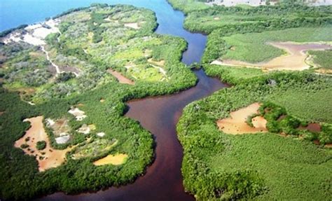 Así es Jaina la isla construida por los mayas por donde pasará el Tren
