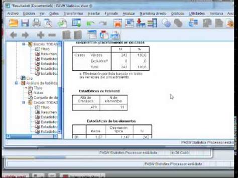 Análisis de fiabilidad SPSS YouTube