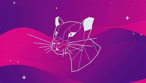 Overview Of Ubuntu 20 04 Lts Focal Fossa And How Buickcafe