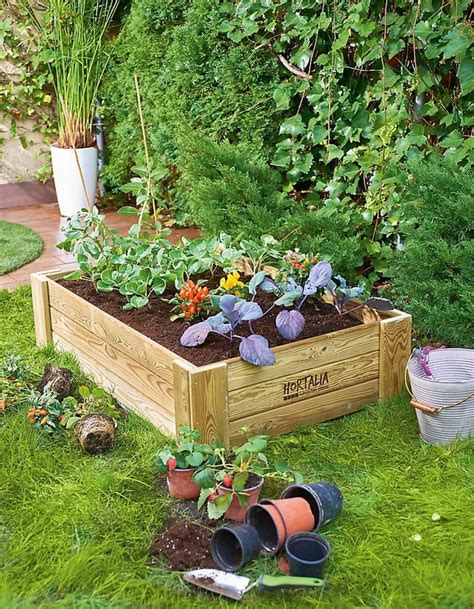 Cómo tener un huerto urbano en la terraza Cómo hacer un huerto casero