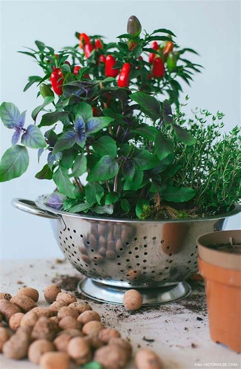 Horta Caseira Saiba Como Fazer 60 Ideias Criativas de Decoração