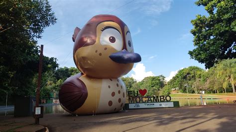 Tche Patos De Minas Retoedu