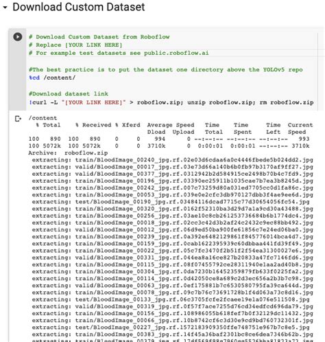 how to train yolov5 on a custom dataset