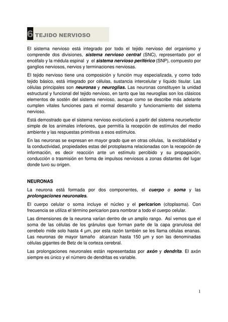 Tejido Nervioso Aliovys Caltona La Rosa UDocz