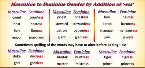 English Grammar The Gender Of Nouns In English ESLBUZZ 55 OFF