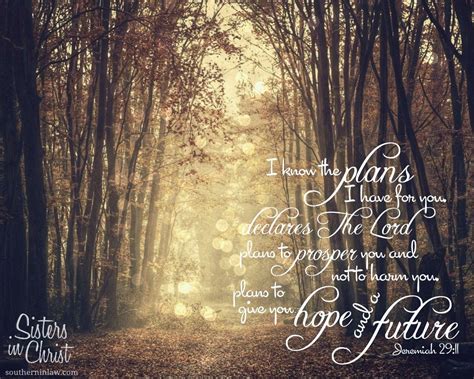 Top More Than 66 Jeremiah 29 11 Wallpaper Best In Cdgdbentre