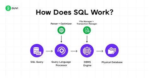 The Ultimate Battle Mongodb Vs Sql Top Differences Guvi Blogs