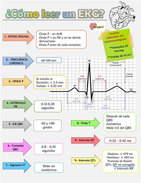 Como Leer Un Electrocardiograma Electrocardiograma Apuntes De Images