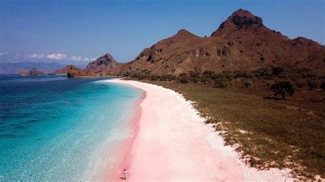 Wisata Pantai Yang Estetik Dan Eksotis Di NTT Dari Labuan Bajo Hingga