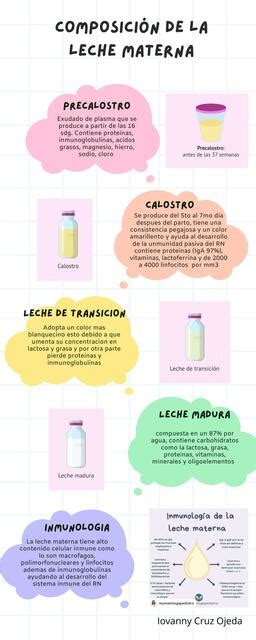 Composición de la leche materna infografía IOVANNY CRUZ OJEDA uDocz
