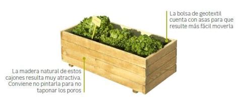 Huerto urbano 9 Pasos cómo hacer huerta en casa y terrazas SuperGuía
