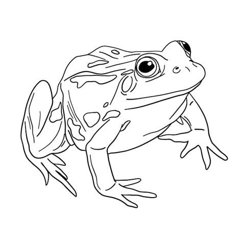 Free Vector Hand Drawn Frog Outline Illustration Frog Outline