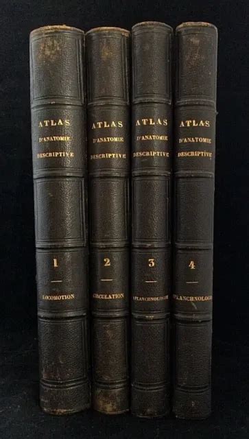 Bonamy Beau Atlas D Anatomie Descriptive Du Corps Humain Vol