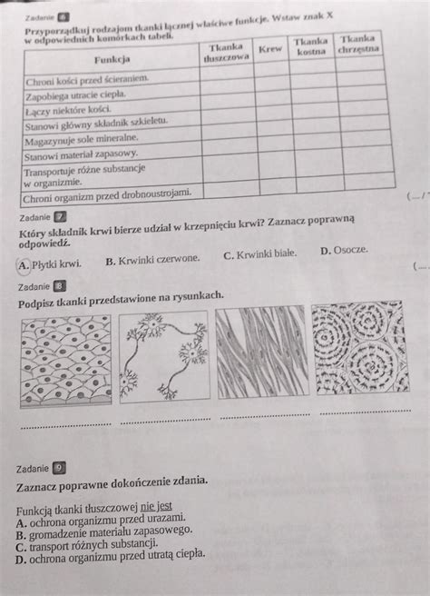 Test Z Biologii Klasa 6 Dział 1