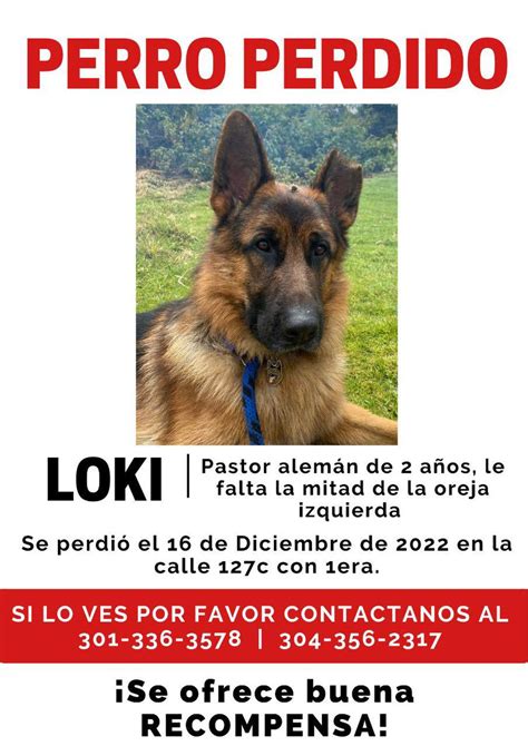 Lilith on Twitter RT Marce Tabares Bogotá No puede ser que la