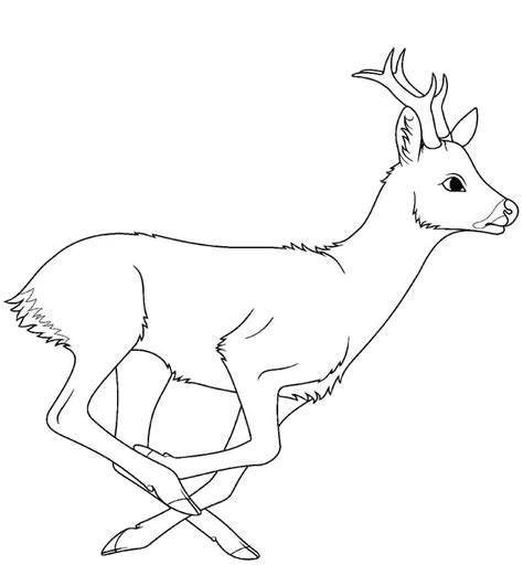 Coloriage Une T Te De Cerf T L Charger Et Imprimer Gratuit Sur