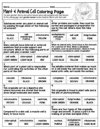 Biology Worksheets And Exercises Edform Worksheets Library
