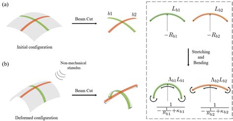 stimuli responsive shell theory jeong ho lee harold s park douglas p holmes 2023
