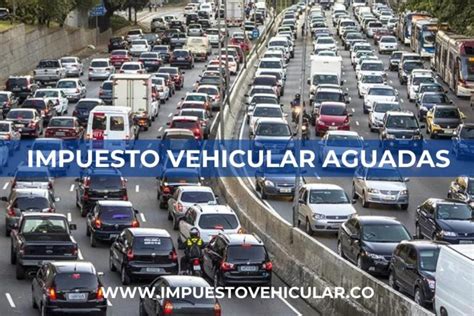 Impuesto Vehicular Caldas 2024 Pago Por Placa