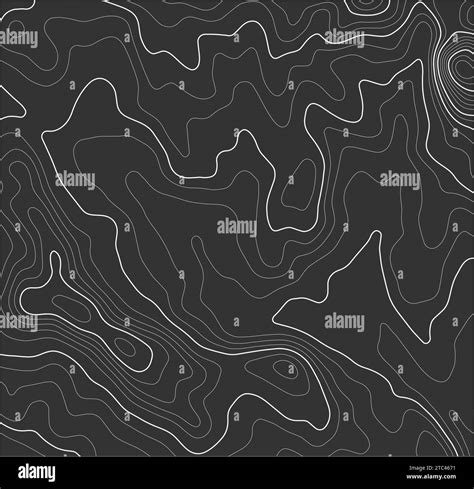 Grey Contours Vector Topography Mountain Terrain Geographic Map