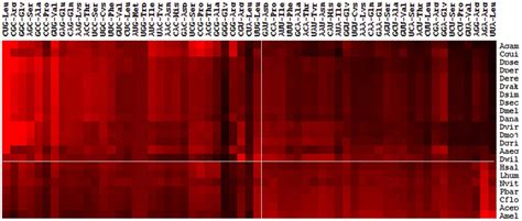 figure 1 from comparative analysis of codon usage bias and codon context patterns between