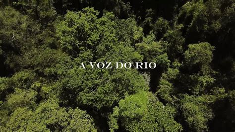 A Voz Do Rio Instituto Astral Youtube