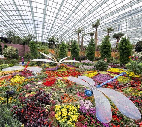 Singapore Garden Gardens By The Bay Flower Garden