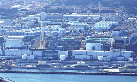 International Pressure Urged As Japanese Government Continues To