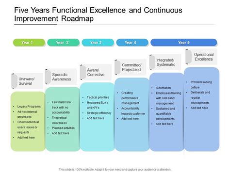 Five Years Functional Excellence And Continuous Improvement Roadmap