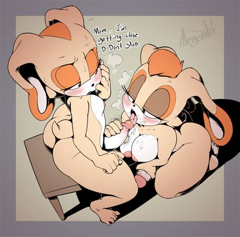 Post Cream The Rabbit Sonic The Hedgehog Series Sonicboom
