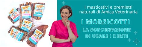 Tumore Mammario Nel Cane Diagnosi E Cura Amica Veterinaria