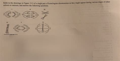 Bio D Final Exam Diagram Quizlet