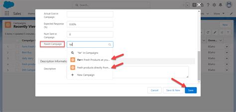 How To Create A Campaign In Salesforce Salesforce Faqs