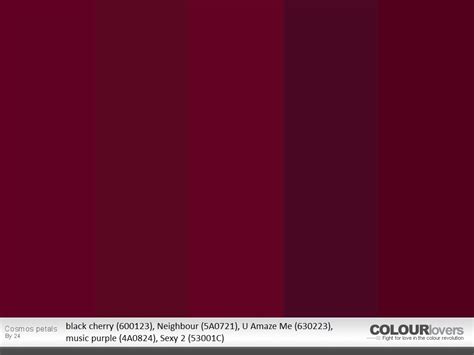 Hex Code Burgundy
