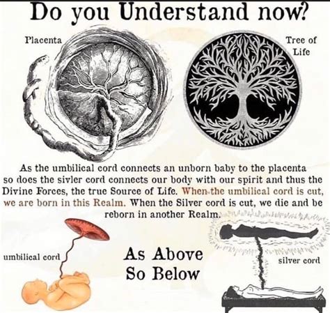 occultbot on Twitter Símbolos pagãos Wicca para iniciantes Livro