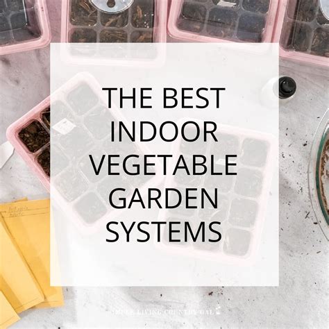 Best Indoor Vegetable Garden System Simple Living Country Gal