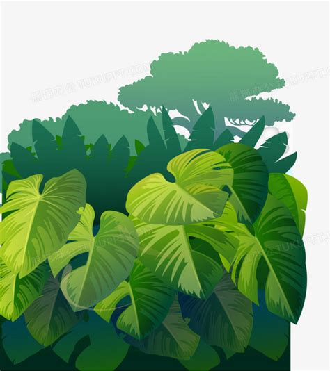 Png Png