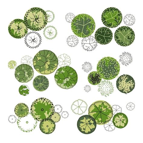 Tree Plan Vector