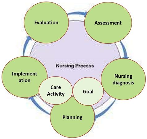 🎉 nursing assessment diagnosis planning implementation evaluation week 2 ch 13 nursing