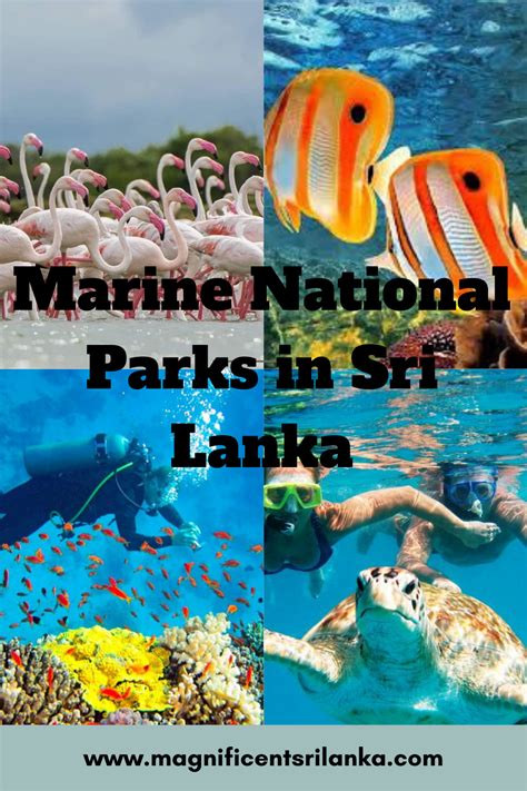 The Ultimate Sri Lanka Itinerary 3 Weeks In Sri Lanka 2023 Artofit